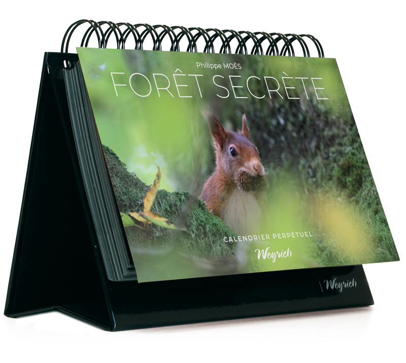 Forêt secrète | Philippe Moës | Weyrich Edition