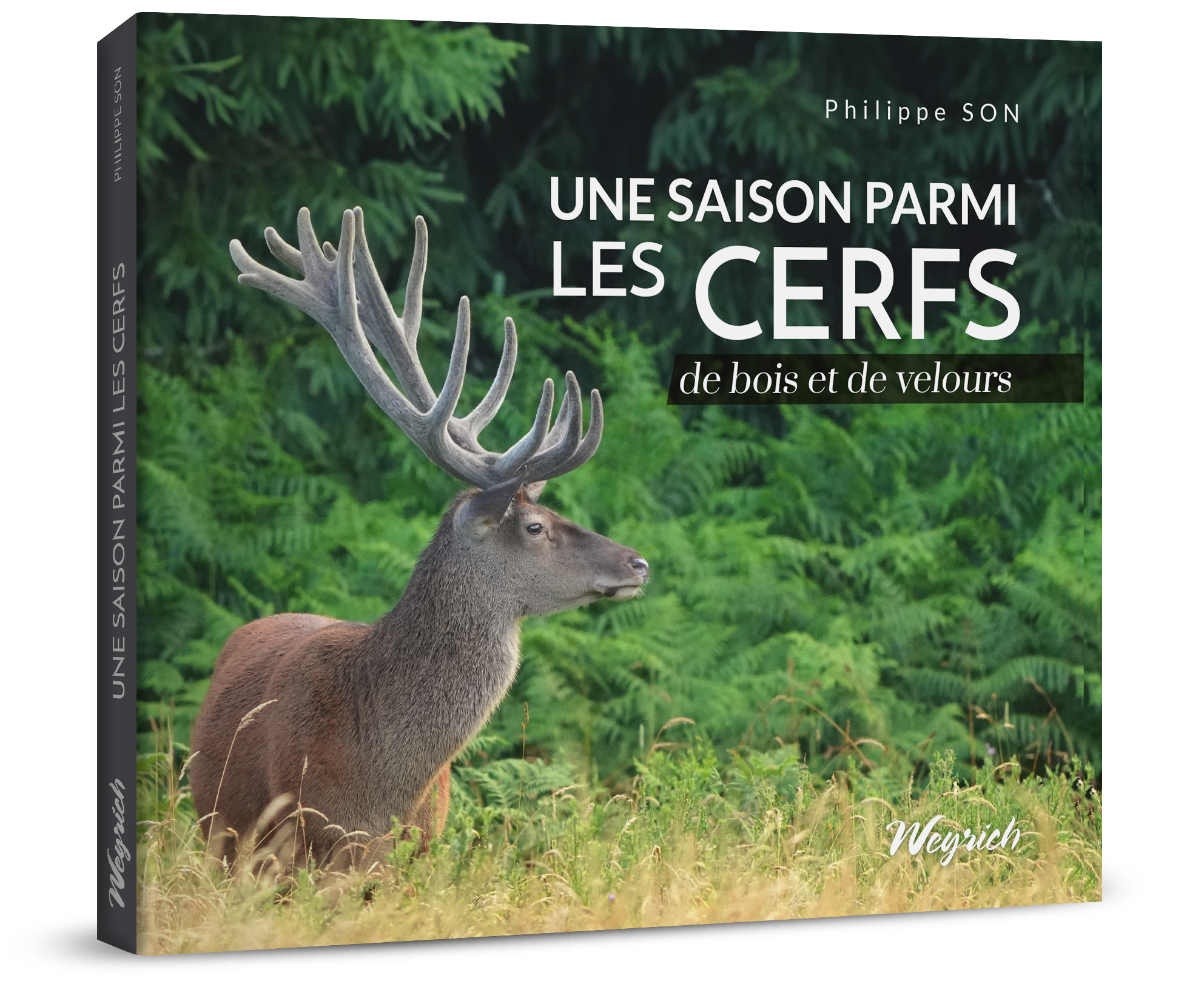 Saison parmi les cerfs (Une) | Philippe Son | Weyrich Edition